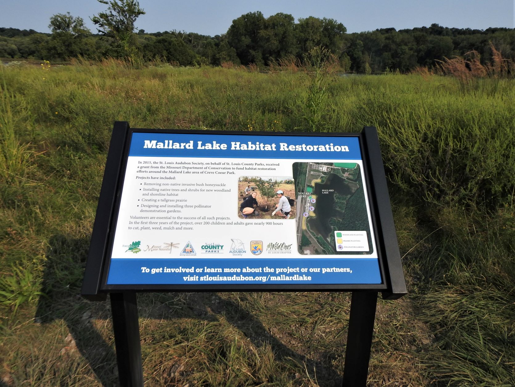 Mallard Lake Habitat Restoration – St. Louis Audubon Society