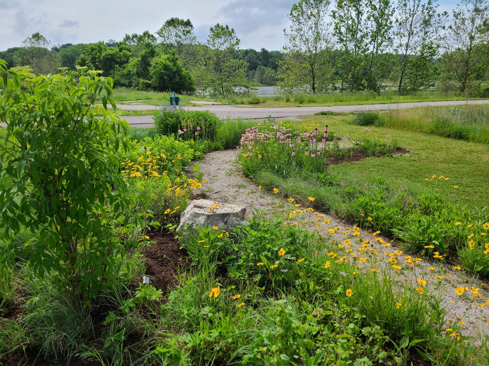 Mallard Lake Habitat Restoration – St. Louis Audubon Society